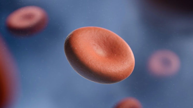 Blood & Regenerative Therapy Collection – Best You Training